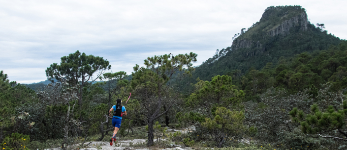 Ultra-Trail® de México – UTMX® – Sitio oficial de Ultra-Trail® de ...